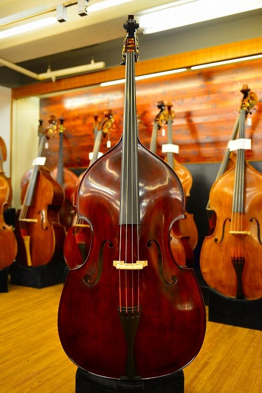 Gamba Shape SP | クロサワ楽器店 日本最大級の楽器通販サイト