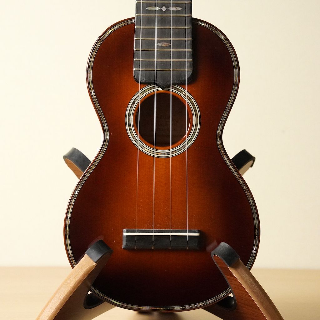 CTM Style 5 Premium Adirondack Spruce / 2014年製 | 【クロサワ楽器店オンラインショップ】いい楽器 ...