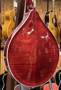 Bulas A-Style "Black" Mandolin Custom Inlay | 【クロサワ楽器店オンラインショップ】いい楽器との ...