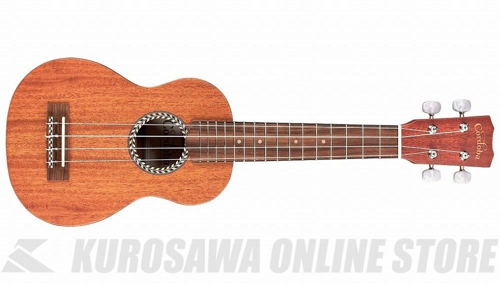 20SM | 【クロサワ楽器店オンラインショップ】いい楽器とのいい出会いを。クロサワ楽器店通販サイト