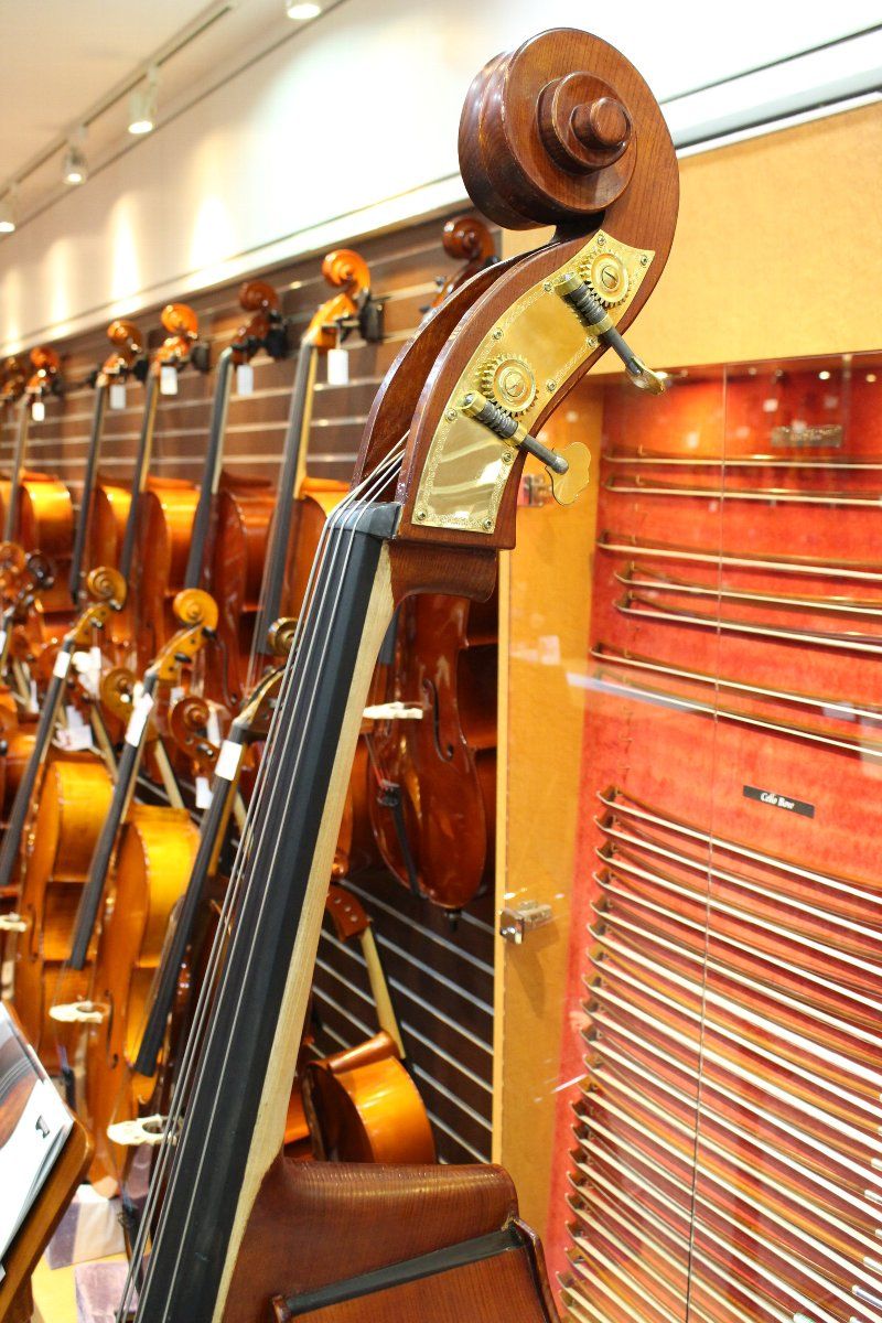 Gliga GemsⅡ Gamba Shape&Carved Back 3/4 | 【クロサワ楽器店オンラインショップ】いい楽器とのいい出会い ...