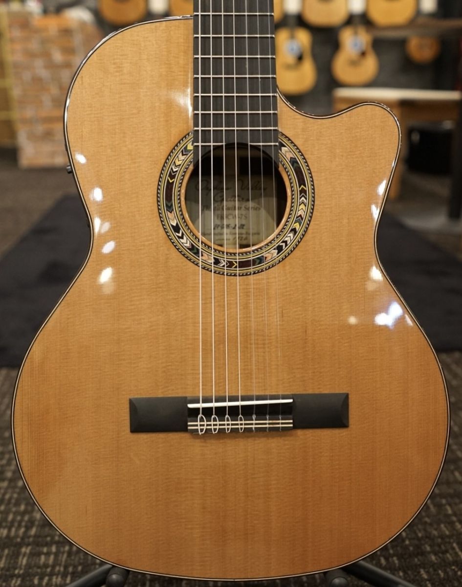 F65CW-7C 7弦 エレガット シダー単板 | 【クロサワ楽器店オンラインショップ】いい楽器とのいい出会いを。クロサワ楽器店通販サイト