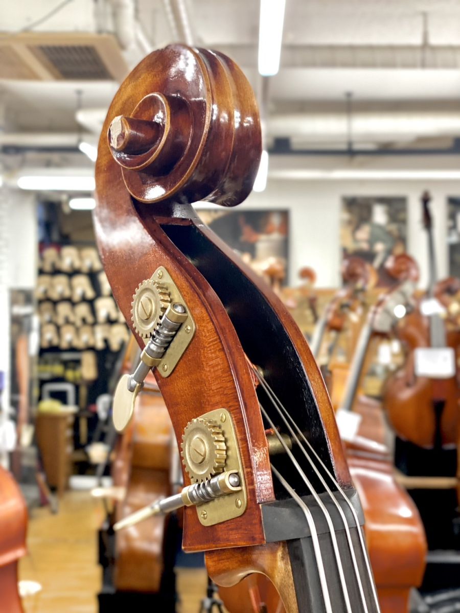 Gamba Model | 【クロサワ楽器店オンラインショップ】いい楽器とのいい出会いを。クロサワ楽器店通販サイト