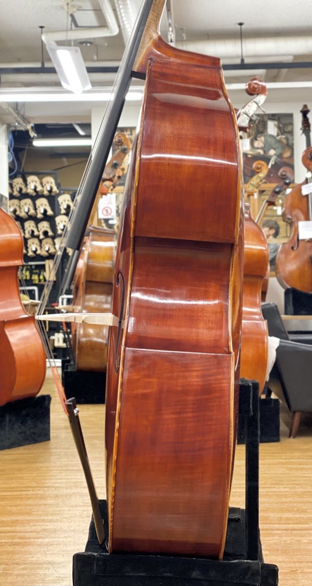 Gamba Model | 【クロサワ楽器店オンラインショップ】いい楽器とのいい出会いを。クロサワ楽器店通販サイト