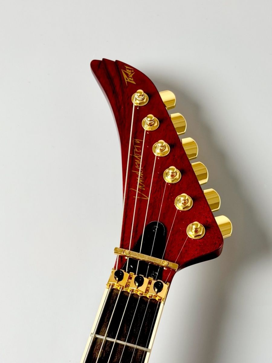 Adrian Vandenberg Signature Guitar -Purple Flame Maple- | 【クロサワ楽器店オンライン ...